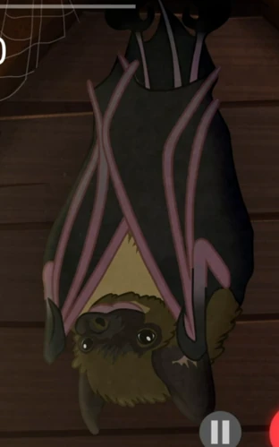 Little brown bat | Molly of Denali Wiki | Fandom