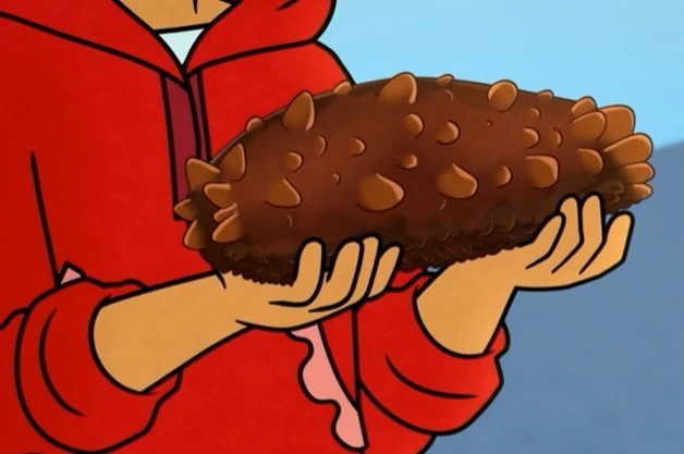 Sea cucumber | Molly of Denali Wiki | Fandom