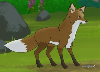 Red Fox | Molly of Denali Wiki | Fandom