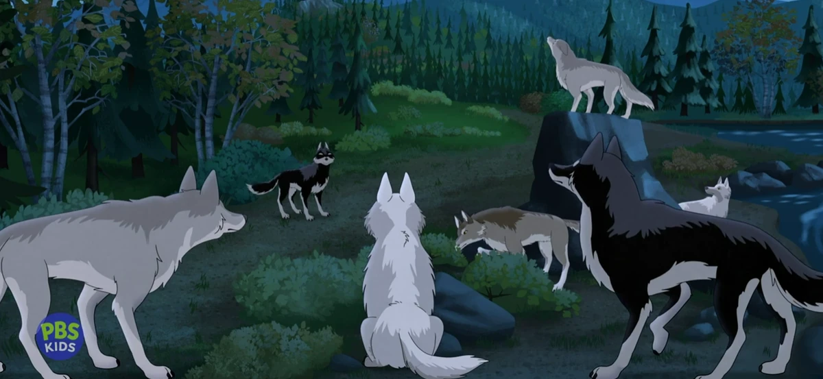 Wolf | Molly of Denali Wiki | Fandom