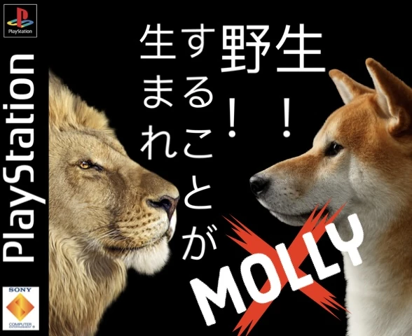 Molly X | Mollyverse Wiki | Fandom