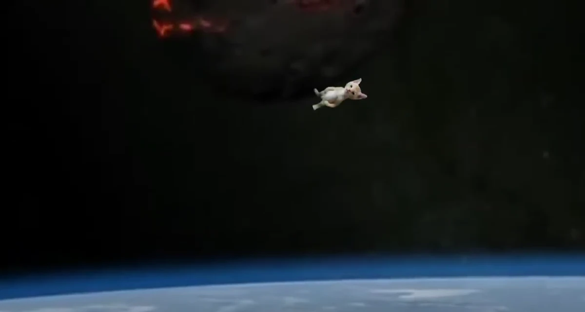 Meteor | Mollyverse Wiki | Fandom