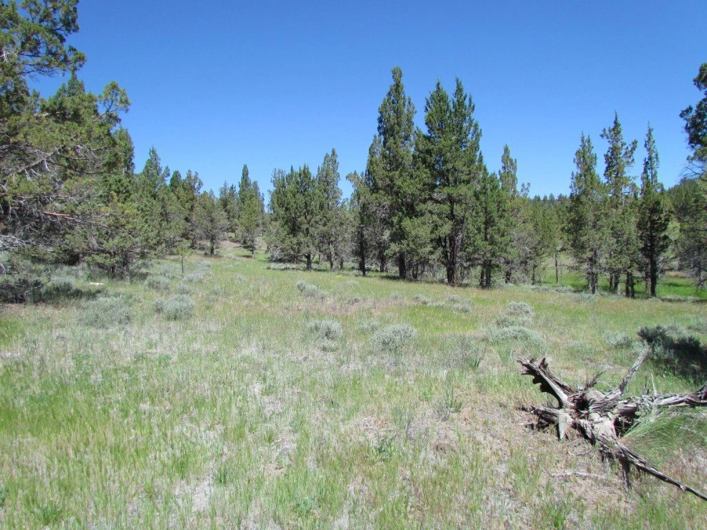 Farfalla Province | Molossia Wiki | Fandom