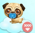 Mops | Momio Polska Wikia | Fandom