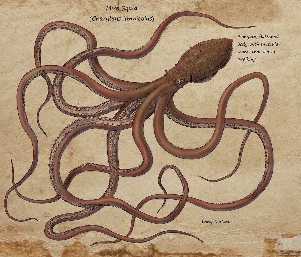 Mire squid | Monarch: shadow of godzilla Wiki | Fandom