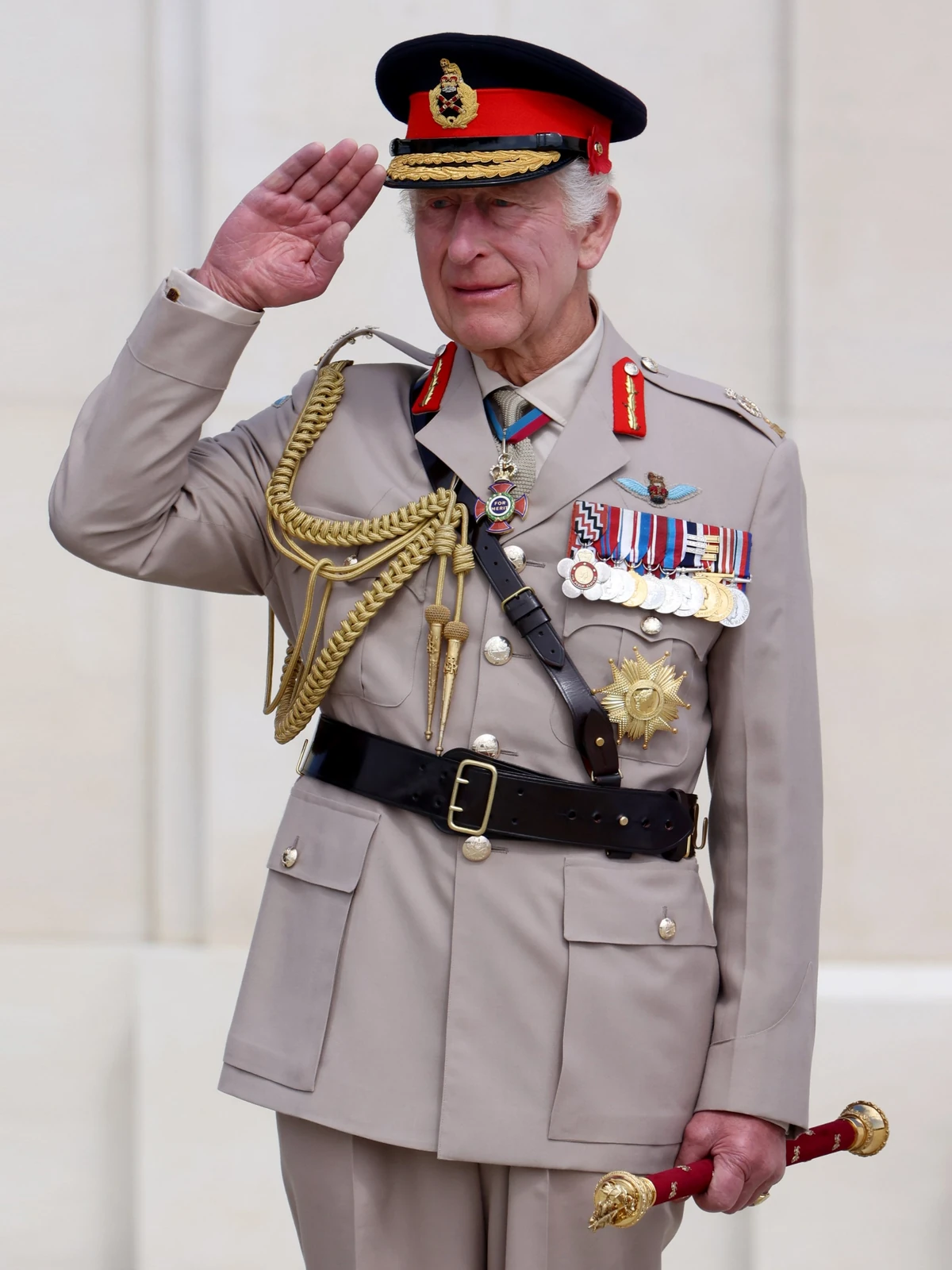 Field marshal (United Kingdom) | Monarchies Wiki | Fandom