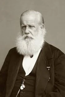 Pedro II do Brasil | Monarquia Wiki | Fandom