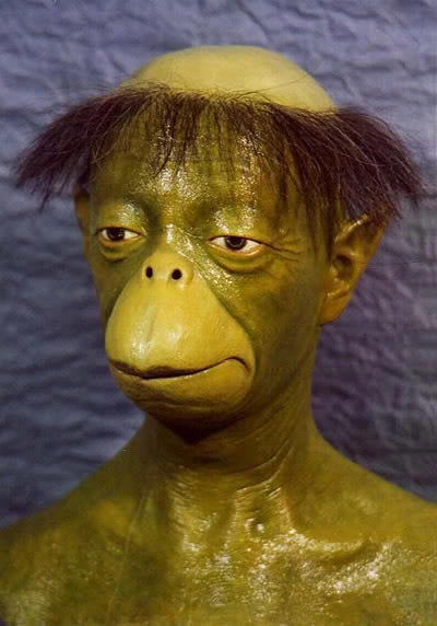 Kappa | Wiki Diratia | Fandom