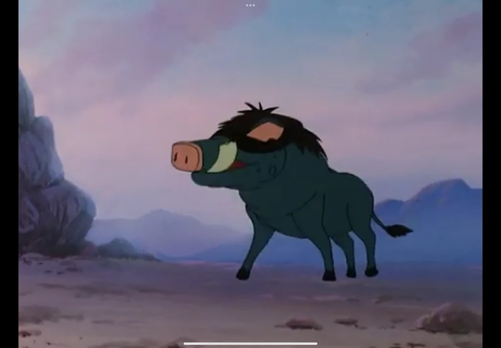 Cammandos | Mondo World Wikia | Fandom