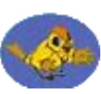 Cicci | Mondo World Wikia | Fandom