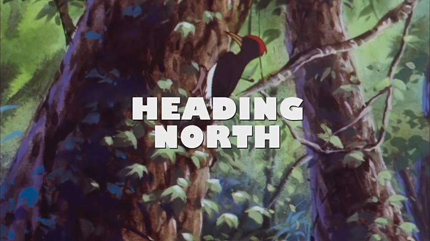 Heading North | Mondo World Wikia | Fandom