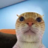 Moniumsalt | Monium (@moniumsalt) Wiki | Fandom