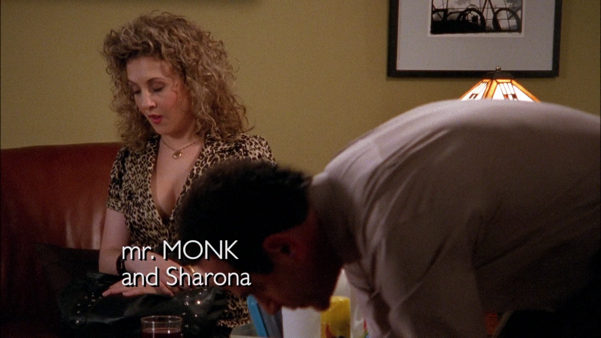 El sr. Monk y Sharona | Wiki MONK | Fandom