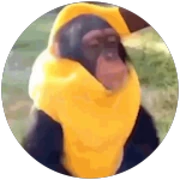 Badges | Monke Game Roblox Wiki | Fandom