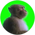 Badges | Monke Game Roblox Wiki | Fandom