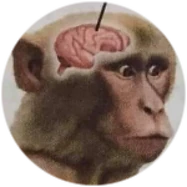 Badges | Monke Game Roblox Wiki | Fandom