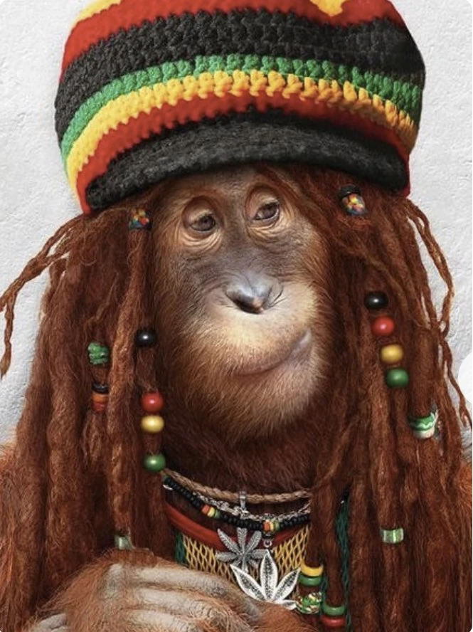 Ross | Monke Isles Wiki | Fandom