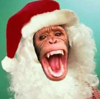 Monke Santa | Monke Isles Wiki | Fandom