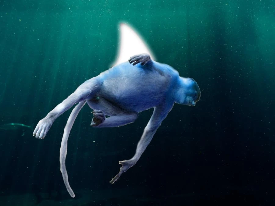 Water Proboscis | Monke Isles Wiki | Fandom