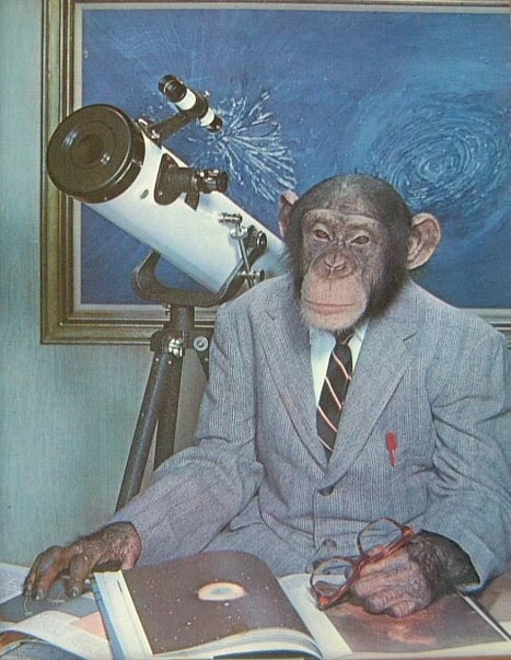 Professor Bungo | Monke Isles Wiki | Fandom