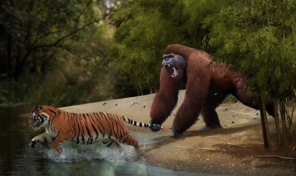 Gigantopithecus | Monke Isles Wiki | Fandom