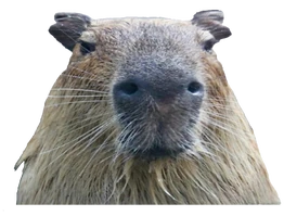 Gort | Monke Isles Wiki | Fandom