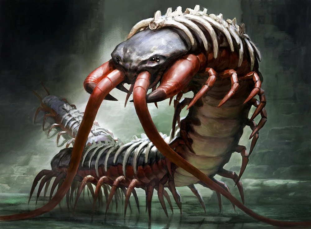 Monster Centipede
