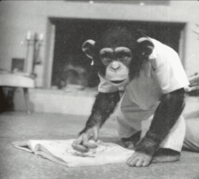 Lucy (chimpanzee) | Monkey History Wiki | Fandom
