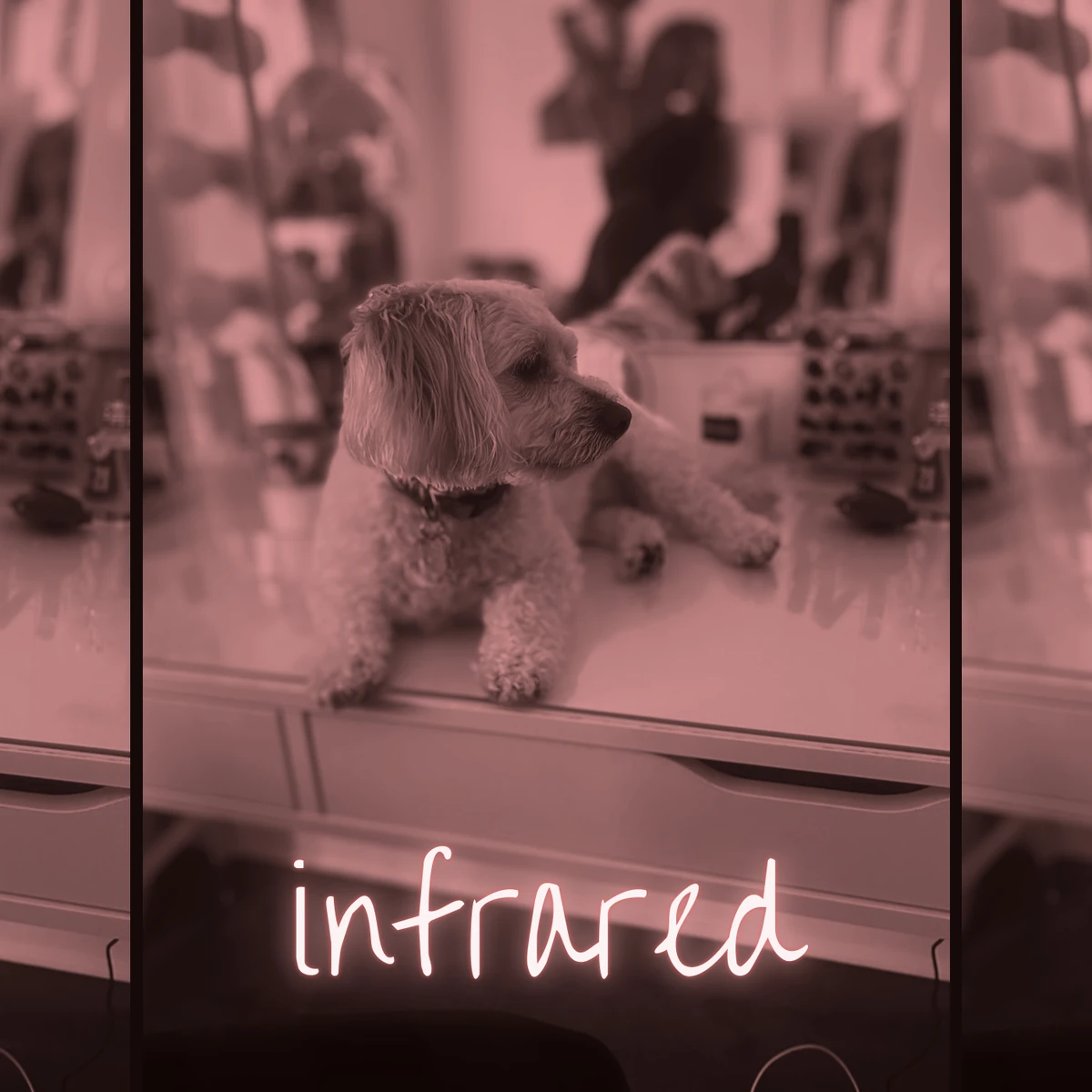 spidey sense | Monsta Wiki | Fandom