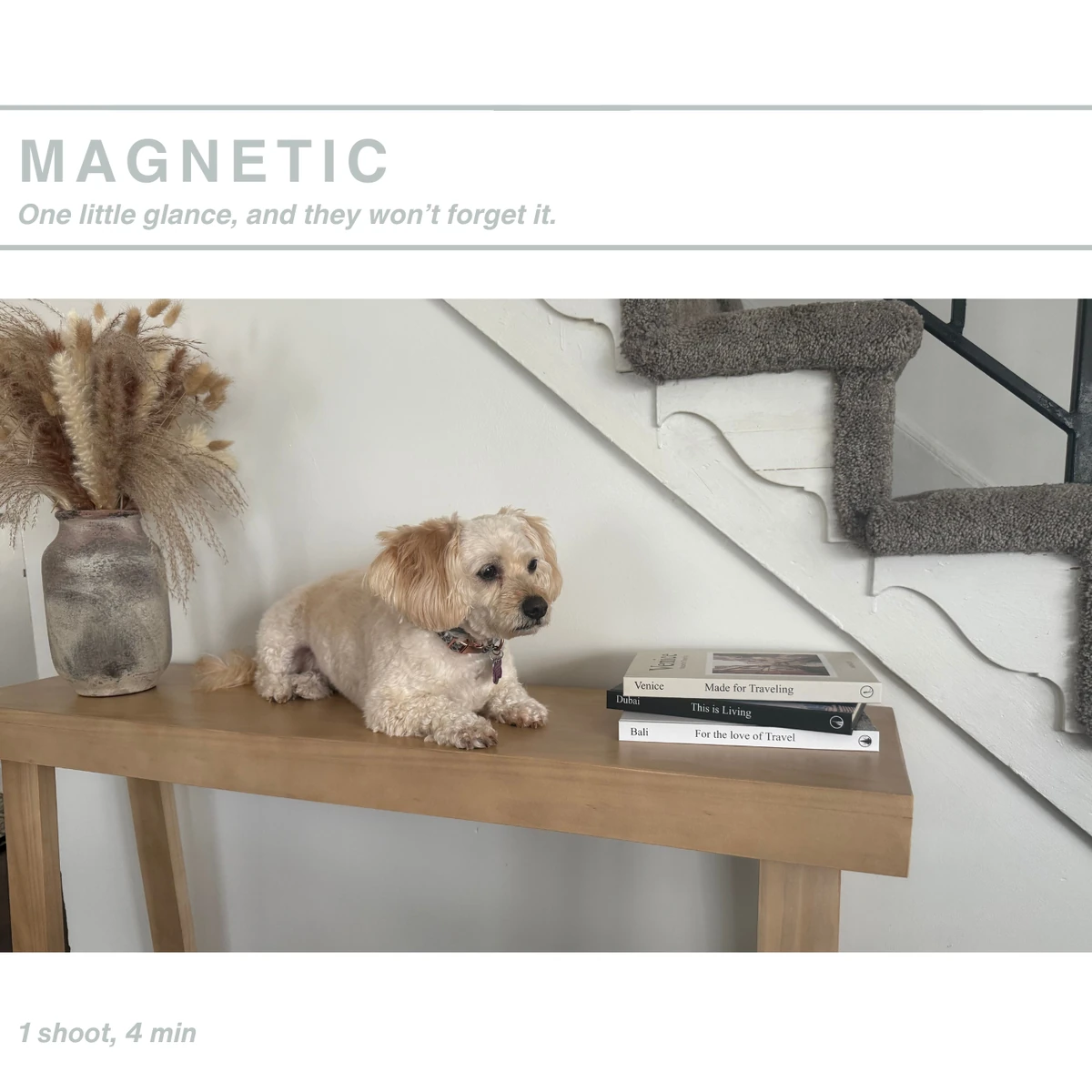 MAGNETIC | Monsta Wiki | Fandom