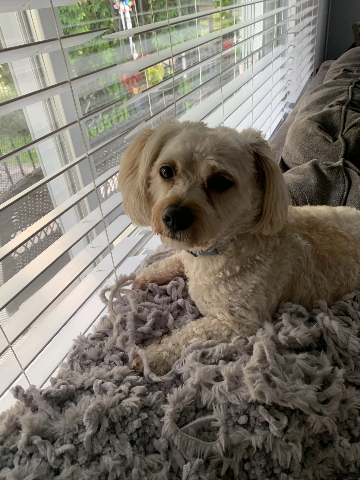 Monsta | Monsta Wiki | Fandom