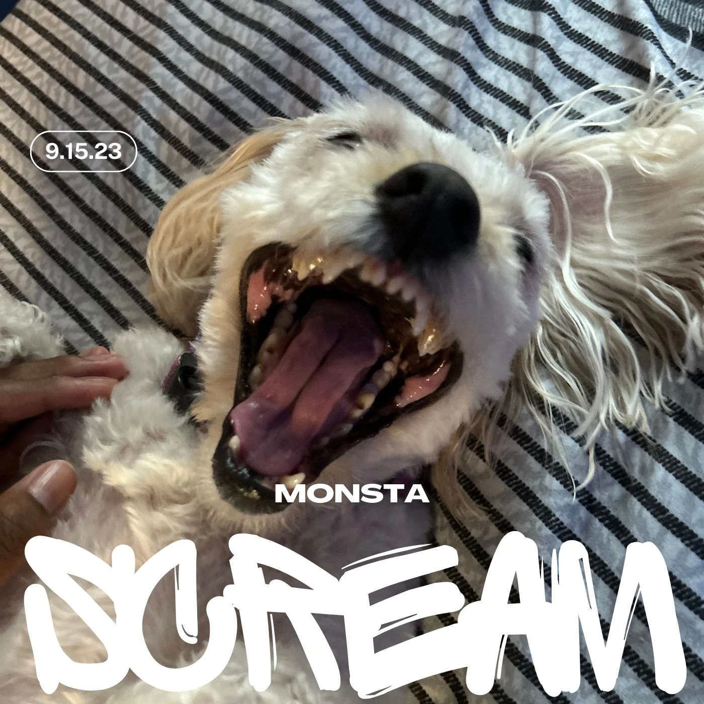 Molly | Monsta Wiki | Fandom