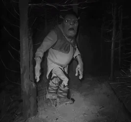 Shrek | Monster 2 Wiki | Fandom