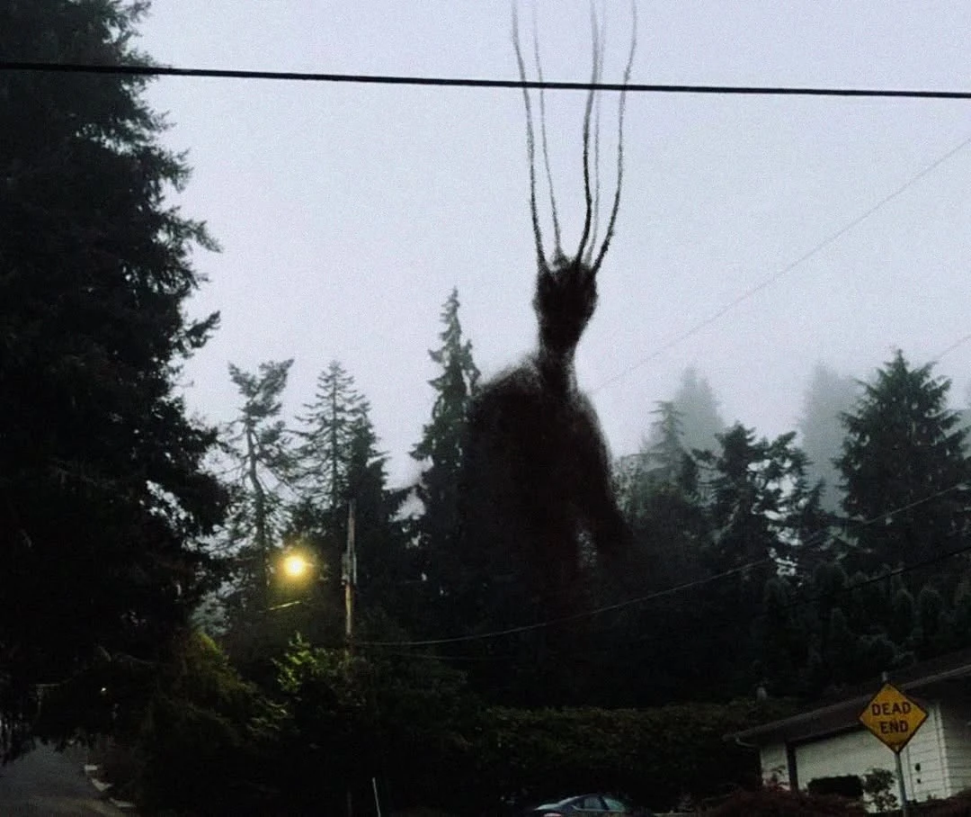 A Creature from the Dead End | Monster 2 Wiki | Fandom