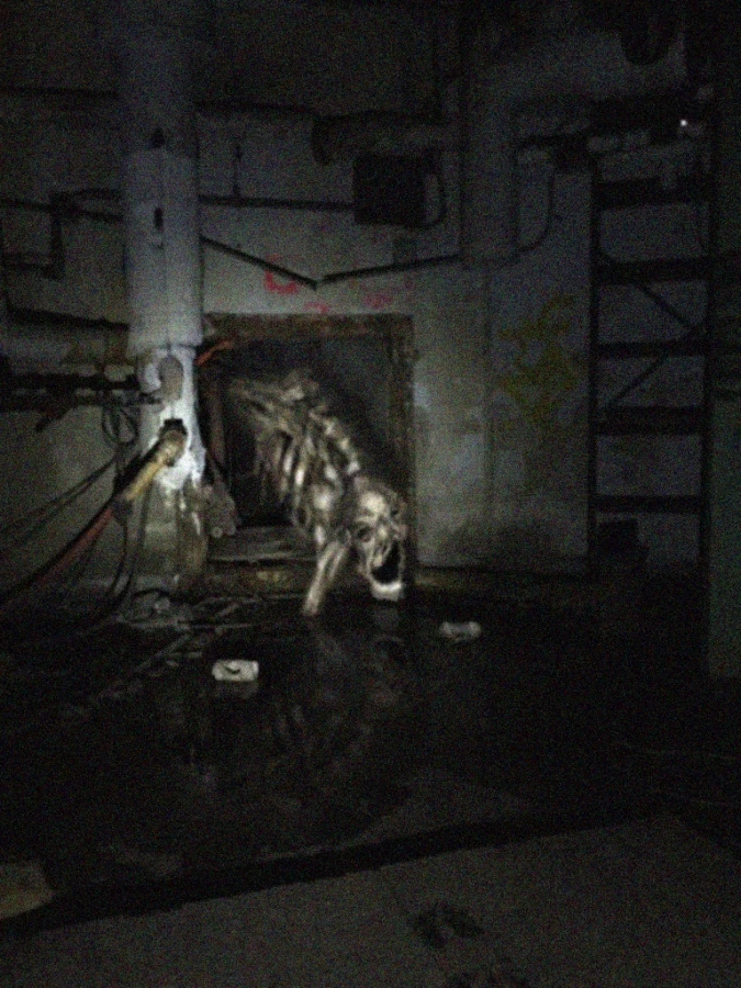 The Sewers | Monster 2 Wiki | Fandom