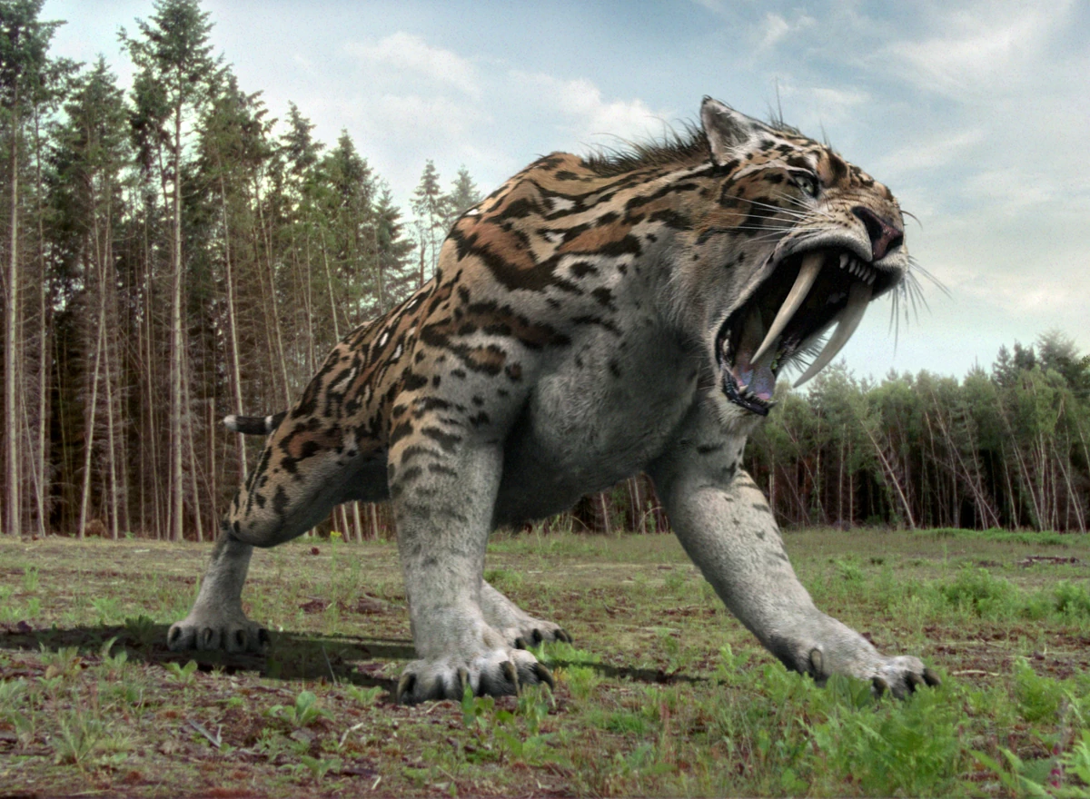 Smilodon (Primeval) | Monster 2 Wiki | Fandom