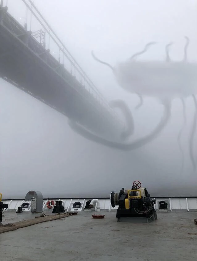 Coming Into New York | Monster 2 Wiki | Fandom