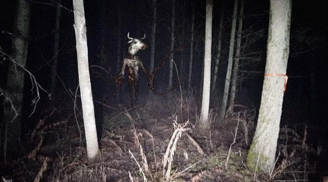 The Cow Head | Monster 2 Wiki | Fandom