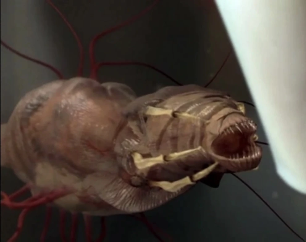 Parasitic Aliens | Monster and Slashers Wiki | Fandom