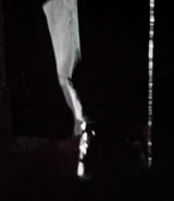 Jake York | Monster and Slashers Wiki | Fandom