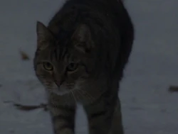 Azazel | Monster and Slashers Wiki | Fandom