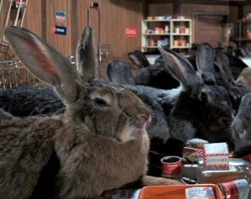 Giant Rabbits | Monster and Slashers Wiki | Fandom