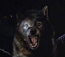 Wolfen | Monster and Slashers Wiki | Fandom