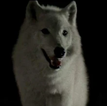 Wolfen | Monster and Slashers Wiki | Fandom