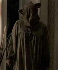 Pig Lady | Monster and Slashers Wiki | Fandom