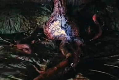 Possession 1981 Creature