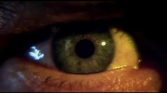 Wolfen | Monster and Slashers Wiki | Fandom