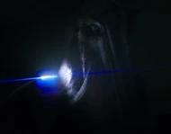 Ozhin | Monster and Slashers Wiki | Fandom