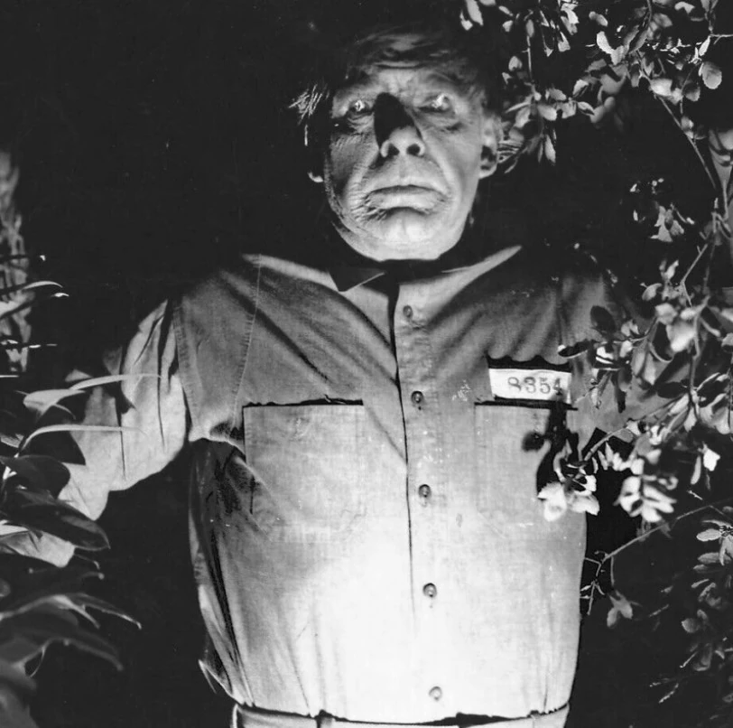 Dan McCormick | Monster and Slashers Wiki | Fandom