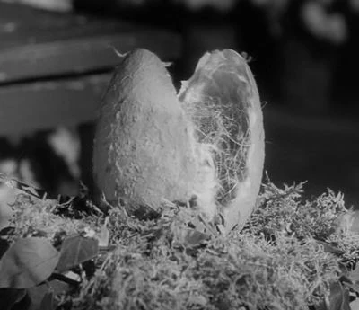 Audrey Jr. | Monster and Slashers Wiki | Fandom